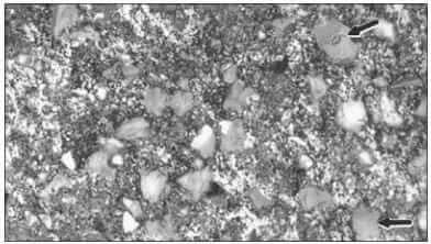 Grinding and Polishing Guide - Buehler Canada - Metallography Equipment ...
